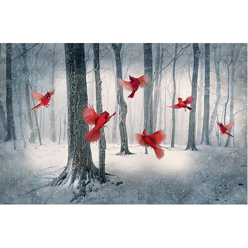 Fabric panels for quilting, cot quilts, home decorating and sewing